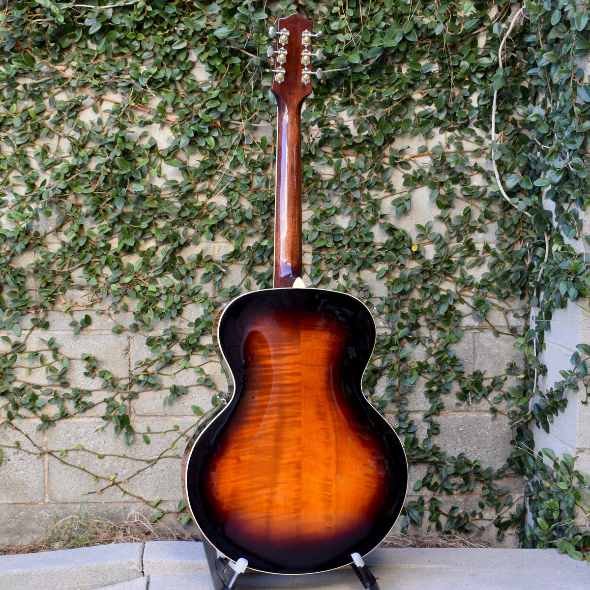 "Mother Maybelle" Loar LH-600 – 1929 Pickguards