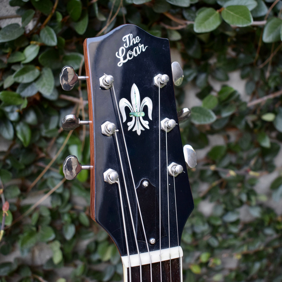 Gabagool Loar LH-350 – 1929 Pickguards